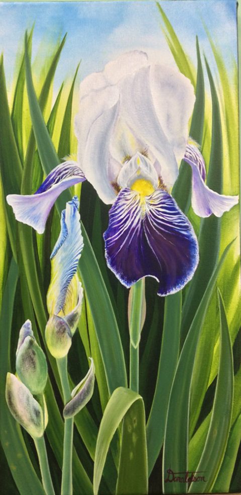Iris - Julie Donaldson